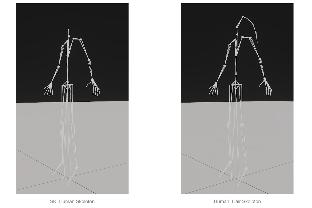Skeleton Compatibility | Flexi 从入门到精通